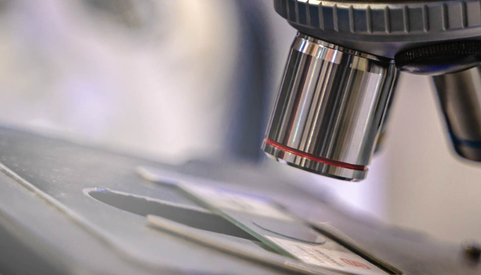 Histopathology | IDEXX BioAnalytics