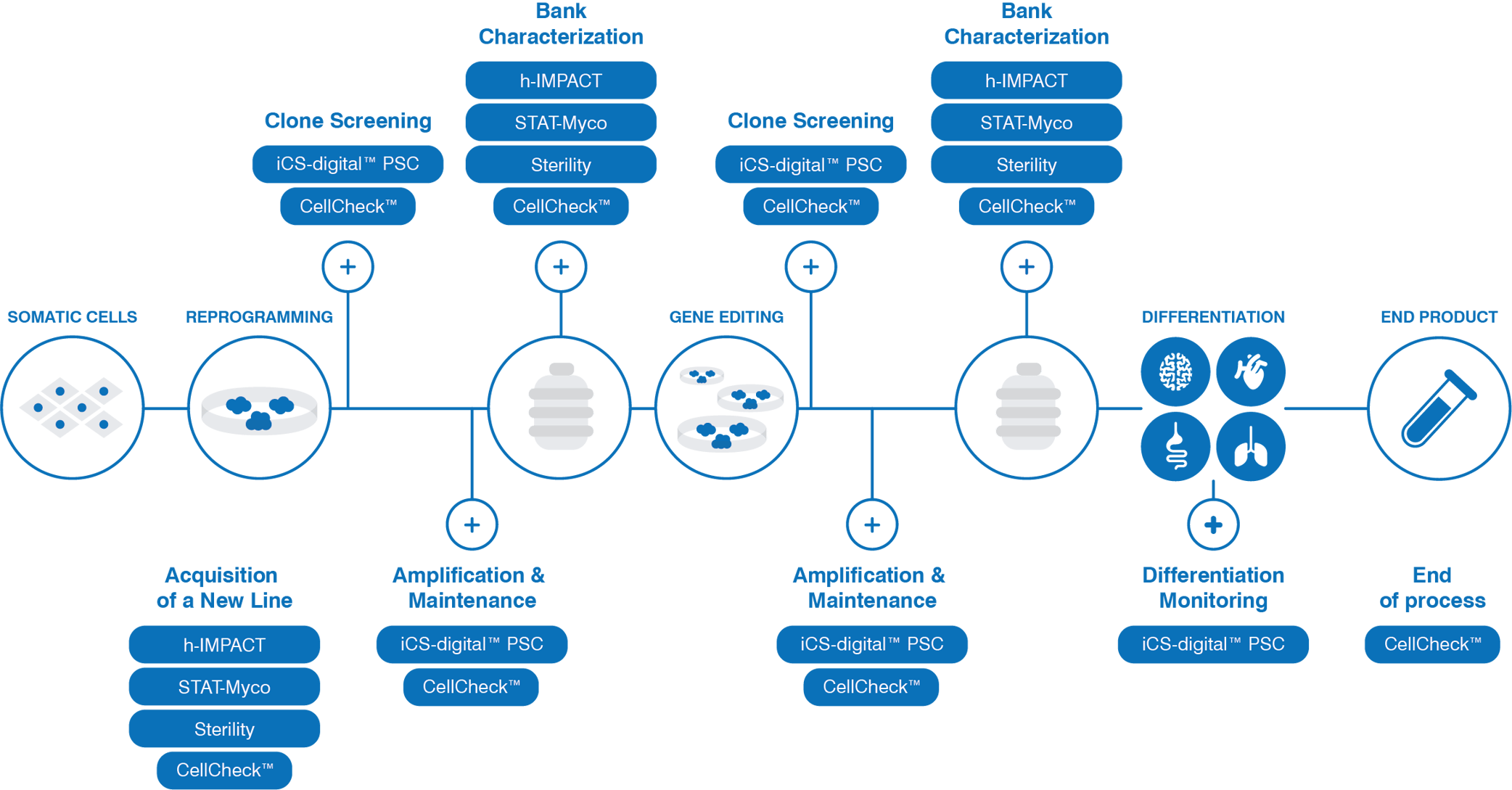 iCS-digital iPSC Testing | IDEXX BioAnalytics