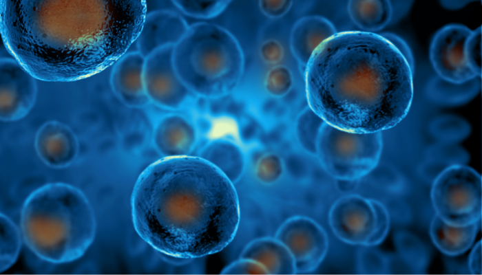 CellCheck™ | Cell Line Authentication | IDEXX BioAnalytics