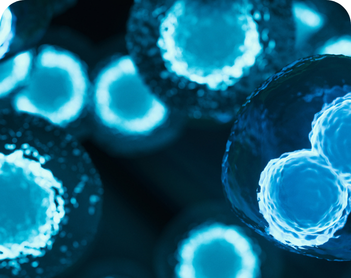 Mammalian Cells | Cell Based Applications