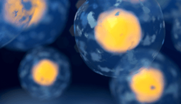 About Us | IDEXX BioAnalytics