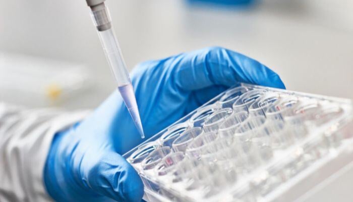 CellCheck™ | Cell Line Authentication | IDEXX BioAnalytics