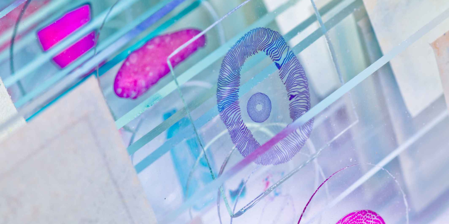 Slide Preparation | Core Histology Services