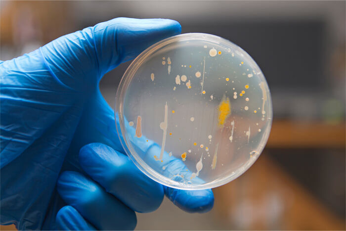 Sterility Testing | Biologics & Cell Health