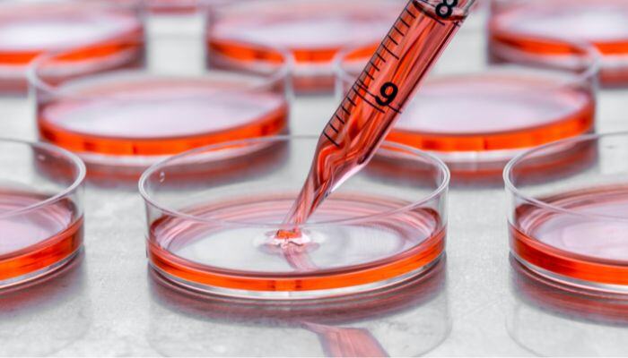 Biological Testing Services | IDEXX BioAnalytics