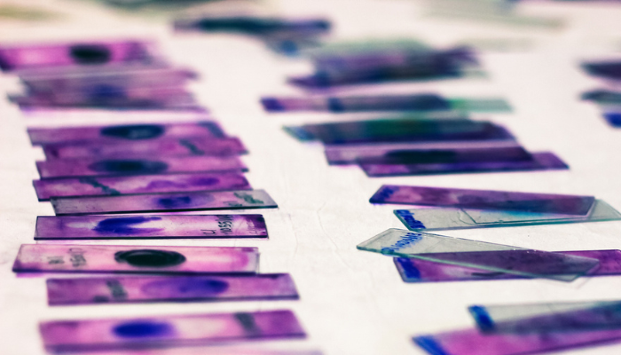 Slide Preparation | Core Histology Services