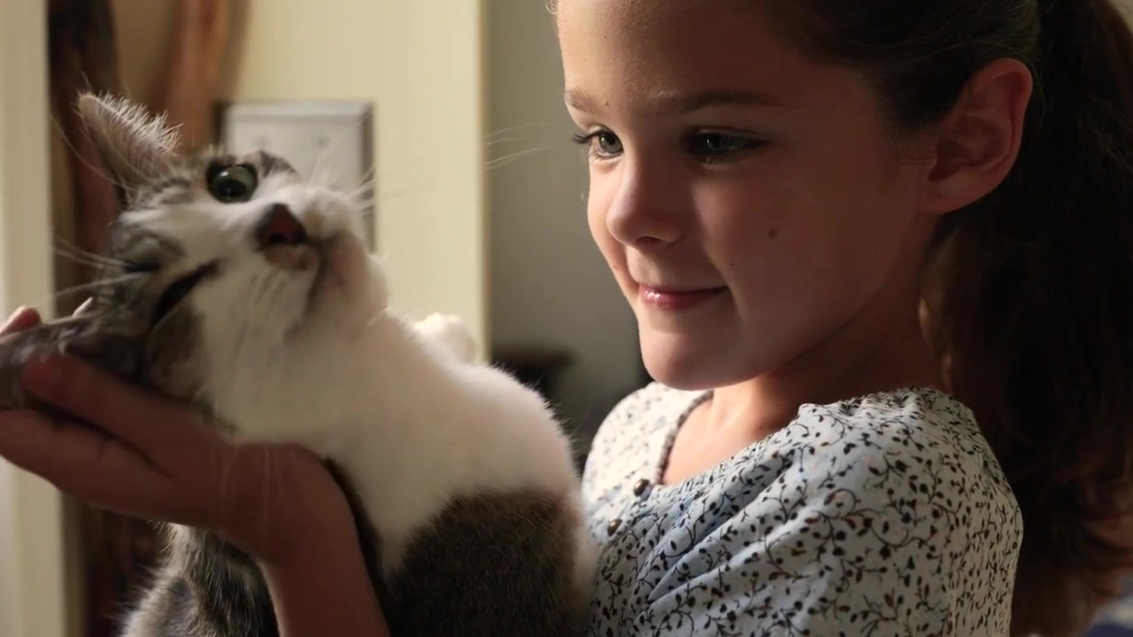 Veterinary Clinical Trials | IDEXX BioAnalytics